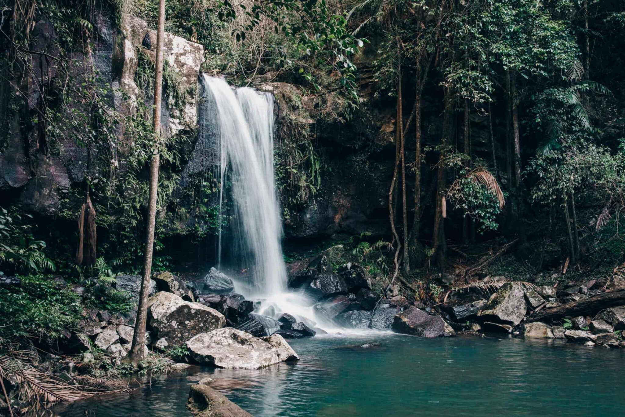 The Top 7 Things To Do on Tamborine Mountain - Kiff & Culture