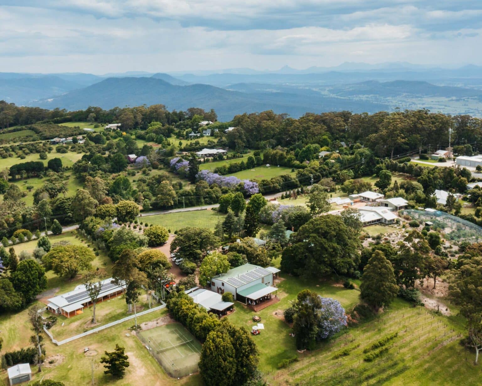 7 Best Wineries near The Gold Coast to Visit this Summer