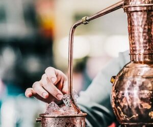 5 Best Gin-Making Classes near Brisbane - Kiff & Culture