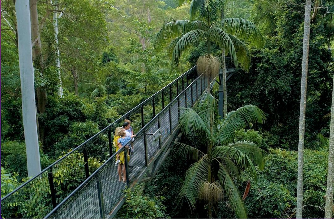 The Top 7 Things To Do on Tamborine Mountain - Kiff & Culture