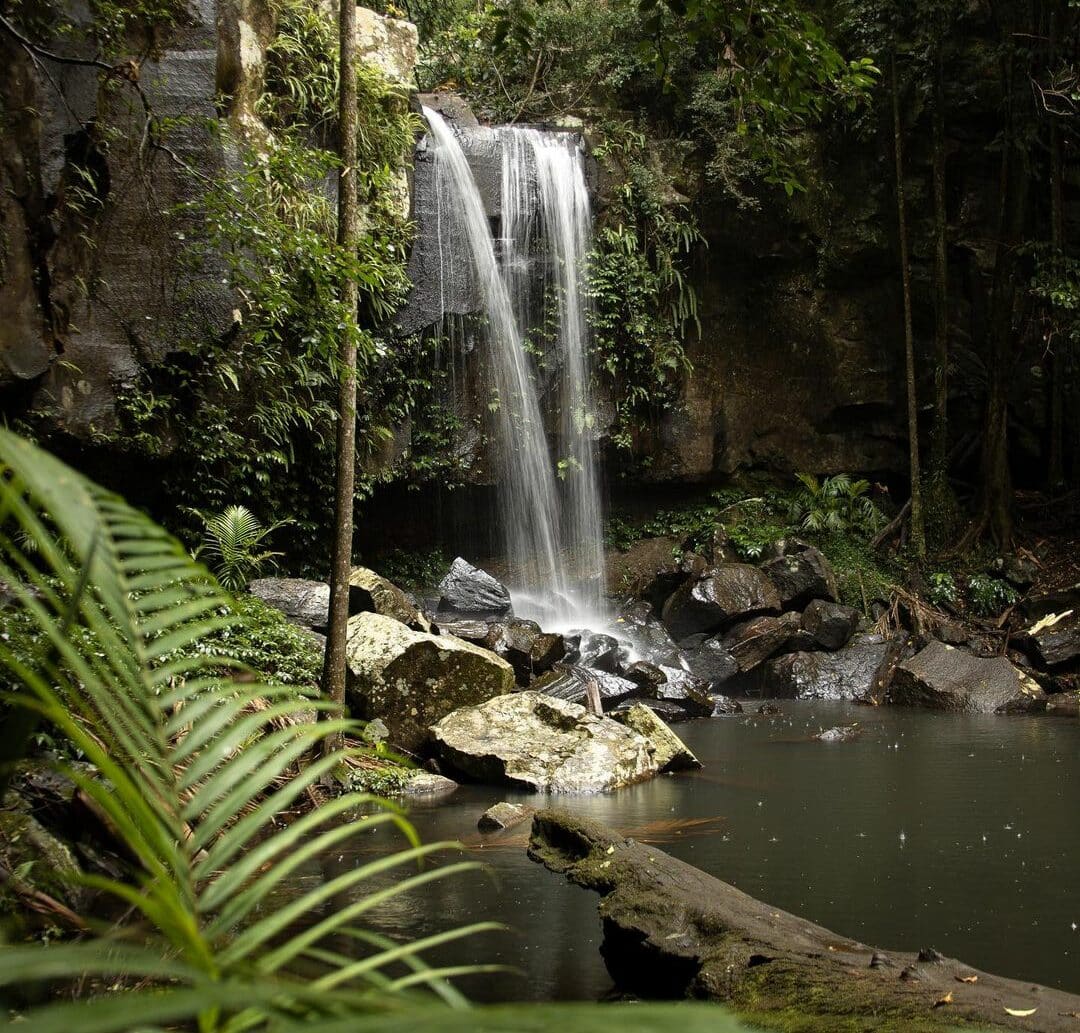 The 5 Most Stunning Waterfalls in the Gold Coast Hinterland